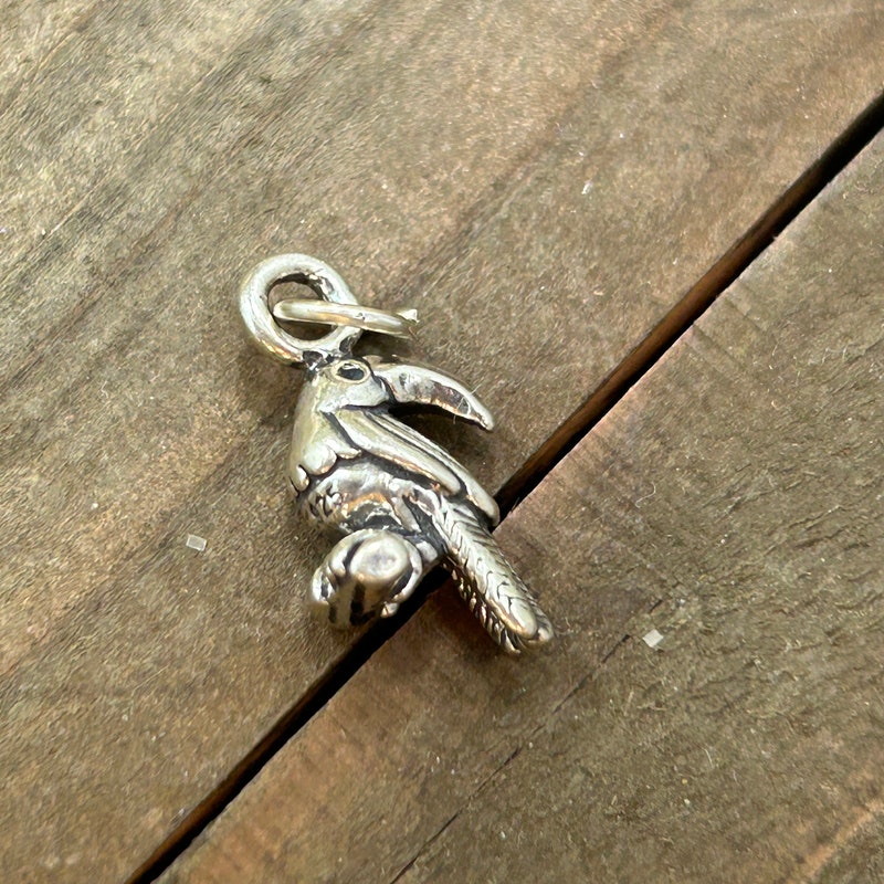 Toucan Sterling Silver - Etsy
