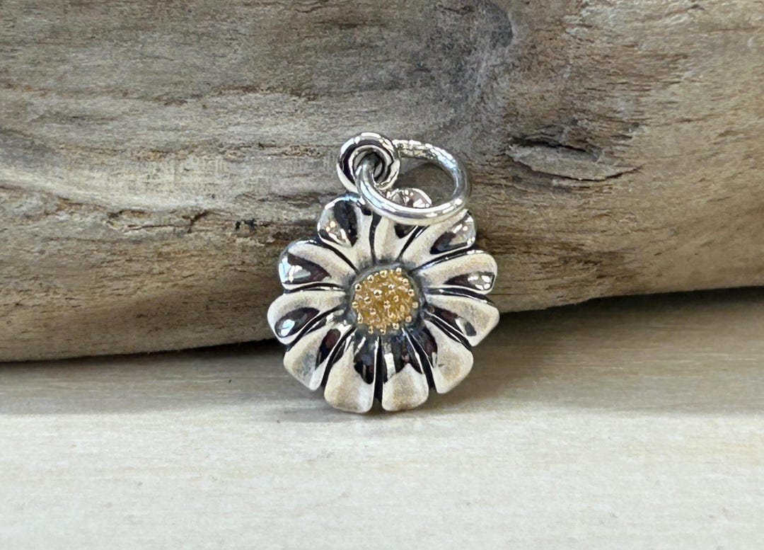 Tiny Mixed Metal Daisy Charm, Sterling Silver Daisy Charm With Bronze ...