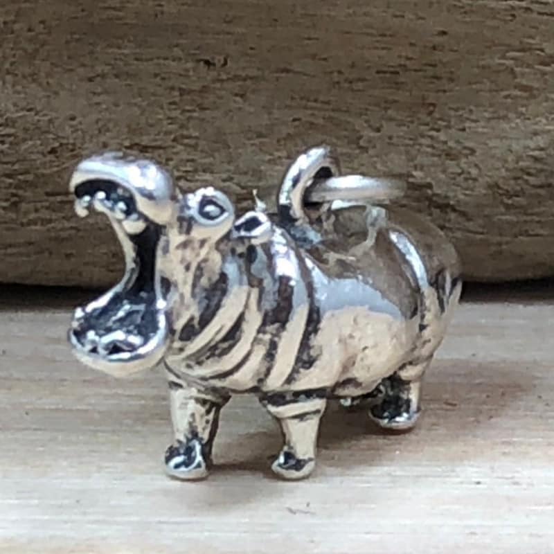 Pandora Zoo Animals Charm - Etsy