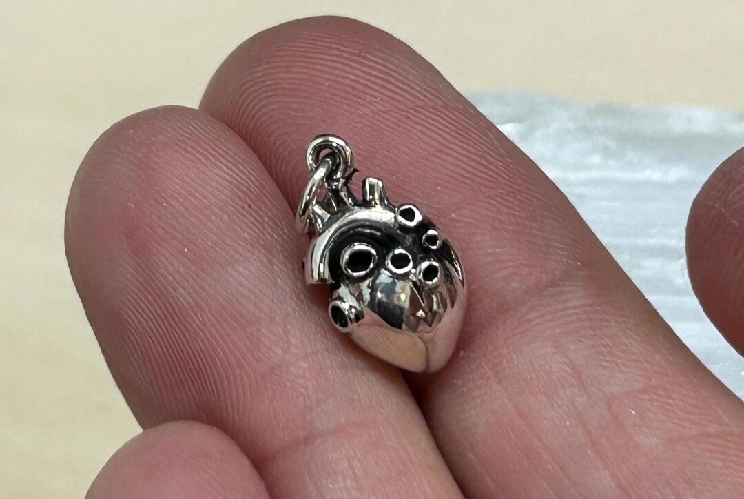 Sterling Silver Small 3D Anatomical Heart Charm, Lifelike Heart Charm ...