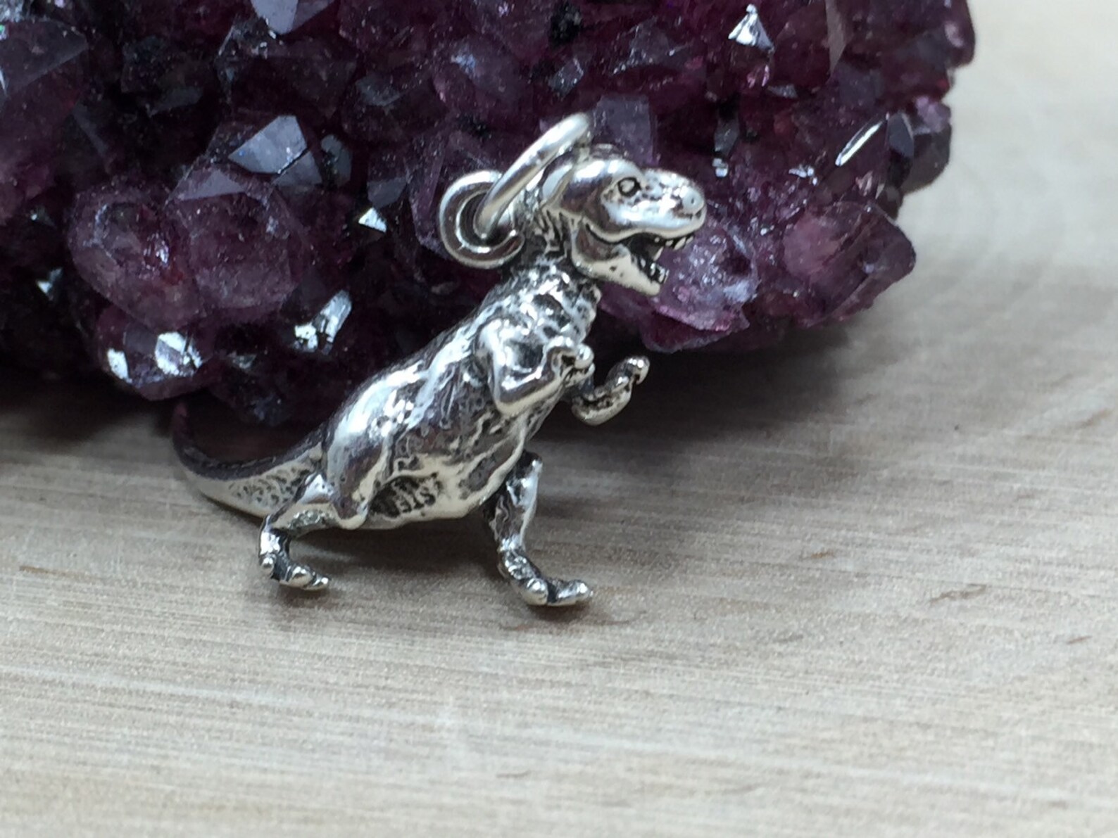 T Rex Charm, Tyrannosaurus Rex Charm, Dinosaur Charm, Paleontologist ...