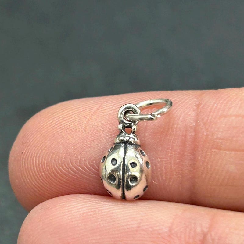Lady Bug Beads - Etsy