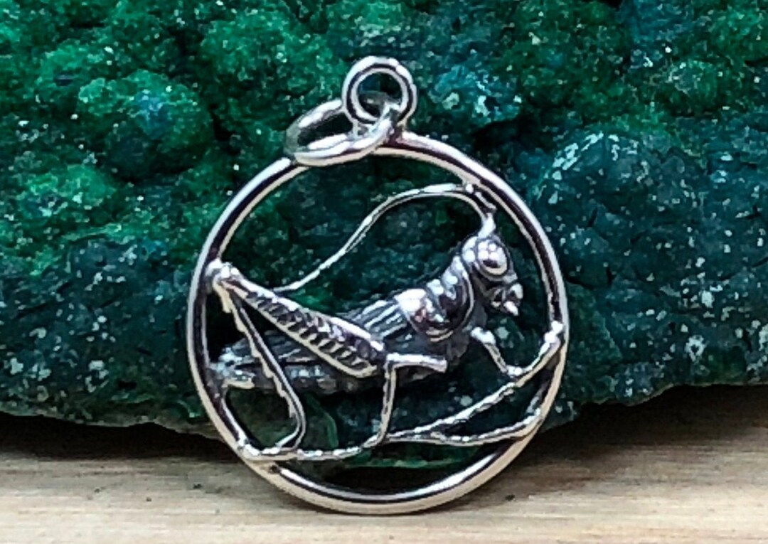 Sterling Silver Lucky Cricket Charm, Sterling Silver Cricket Charm ...
