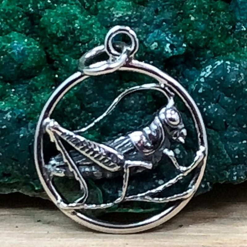 Cricket Jewelry - Etsy