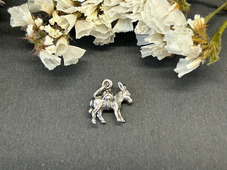 Pack Donkey Charm, Wild Animal Charm, Wild Ass Charm, Jackass Charm ...