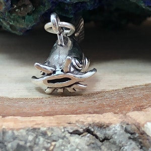 Catfish Charm, Fish Charm, Fisherman Charm, Fishing Charm, Lake Charm ...