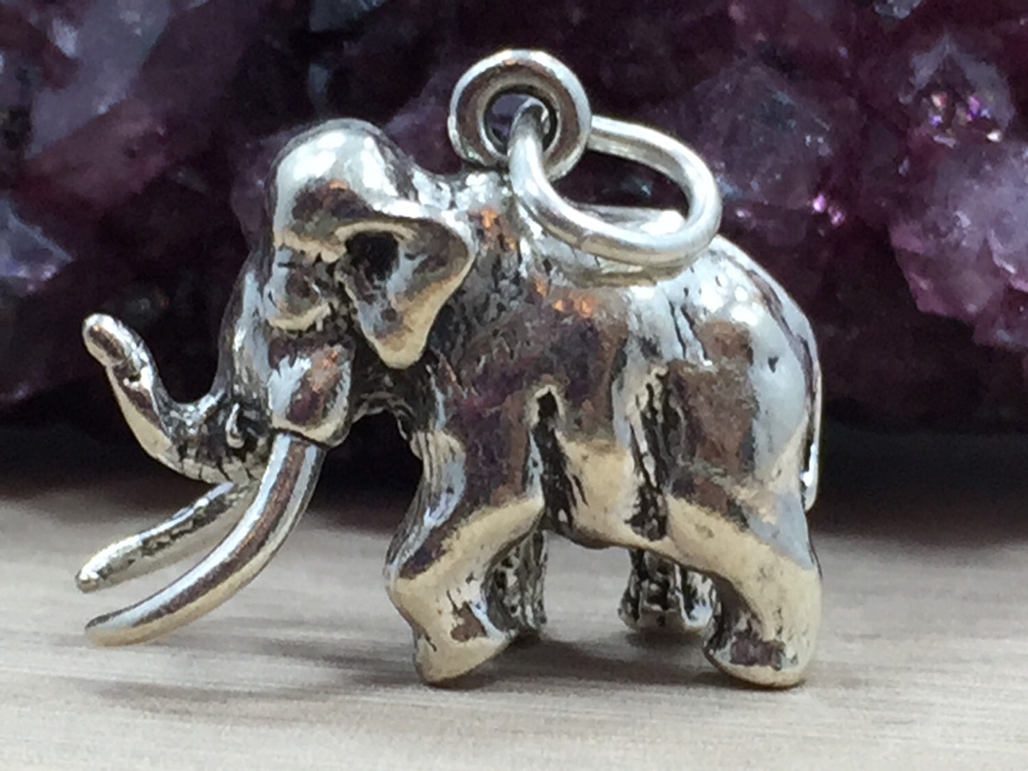 Wooly Mammoth Charm, Dinosaur Charm, Paleontologist Charm, Sterling ...