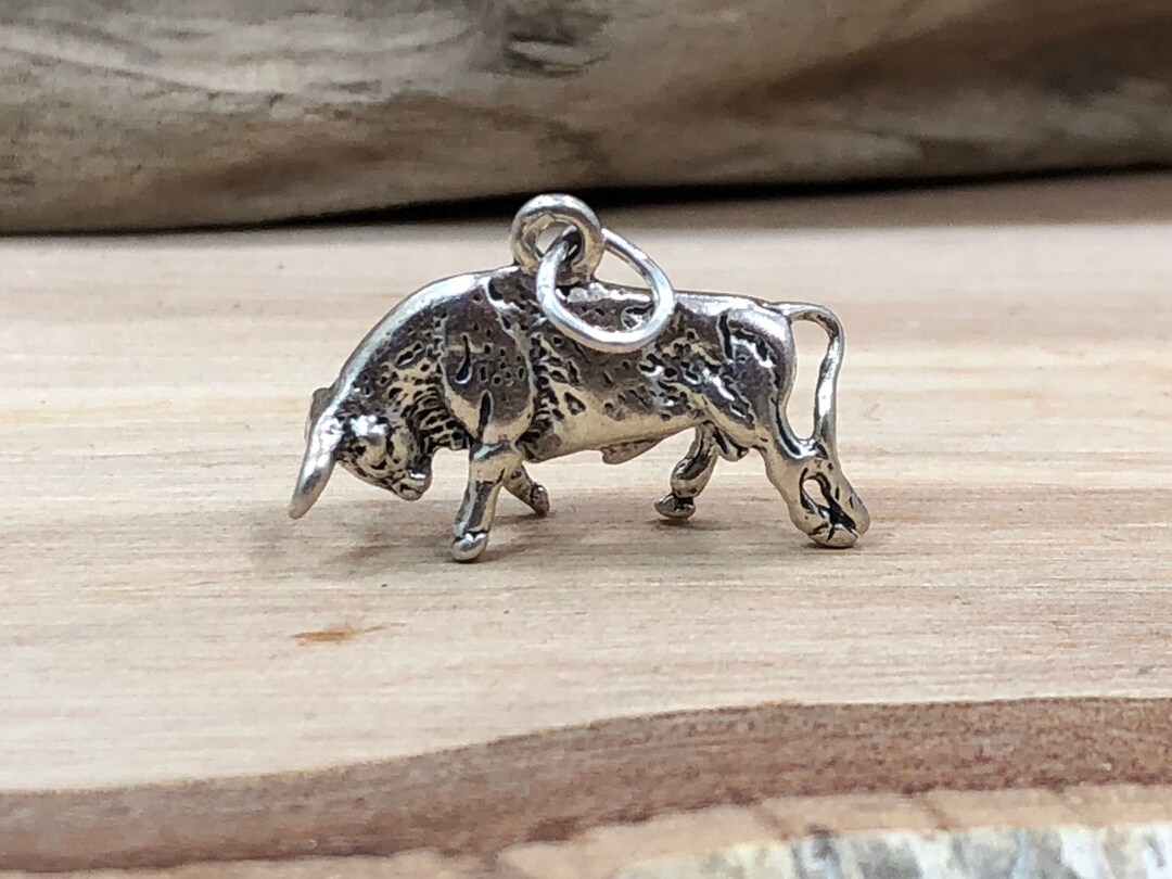 Bull Charm, Bull Pendant, Barrel Rider Charm, Barrel Racer Charm ...
