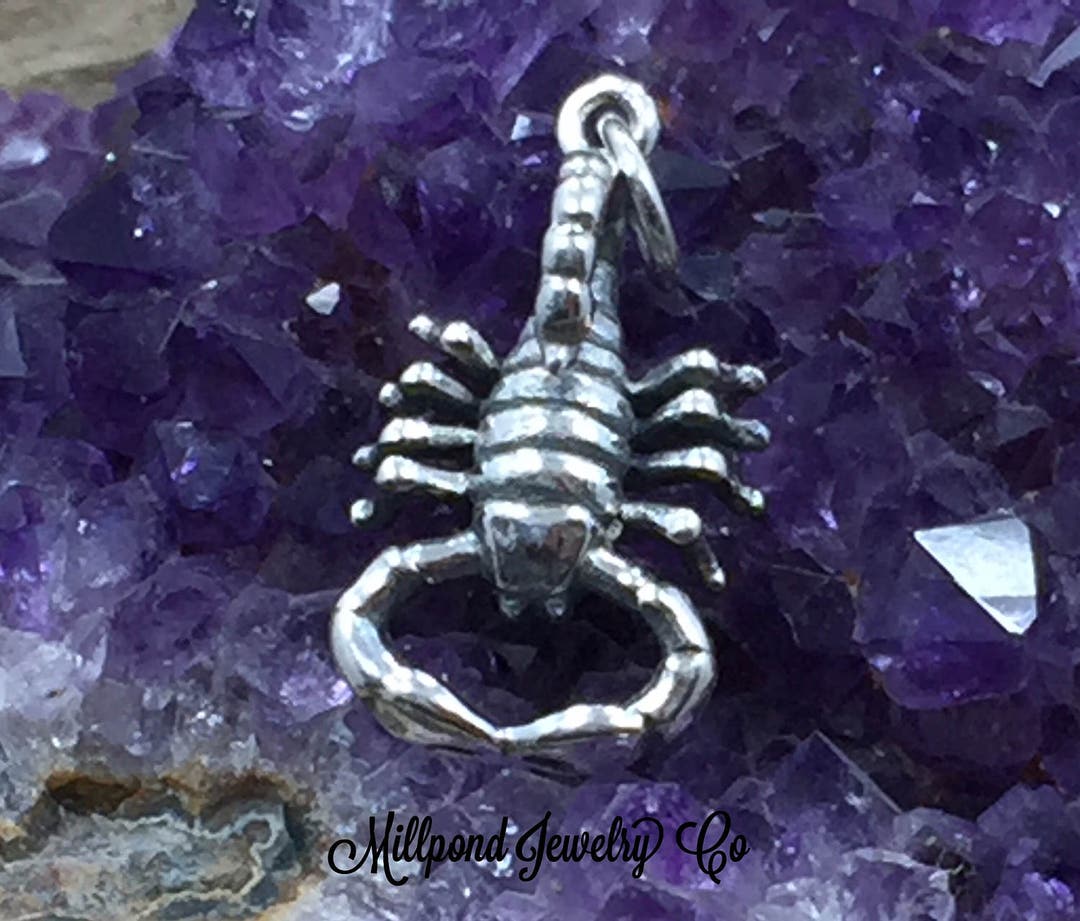 Scorpion Charm, Scorpion Pendant, Arachnid Charm, Insect Charm, Bug ...