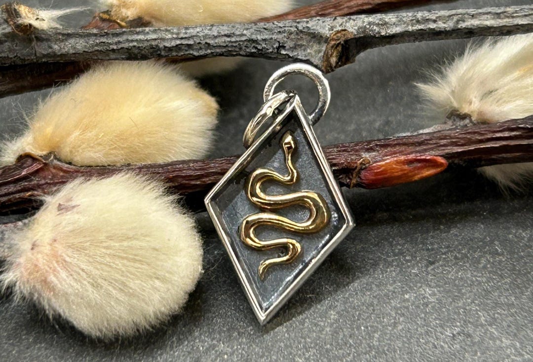 Mixed Metal Snake Shadow Box Charm, Snake Charm, Sterling Silver Charm ...