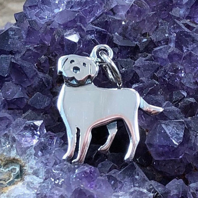 Dog Charm - Etsy