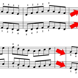 Hanon Piano / Keyboard Exercises 1 - 30 Condensed and Simplified for Beginners Easy Reading - Etsy