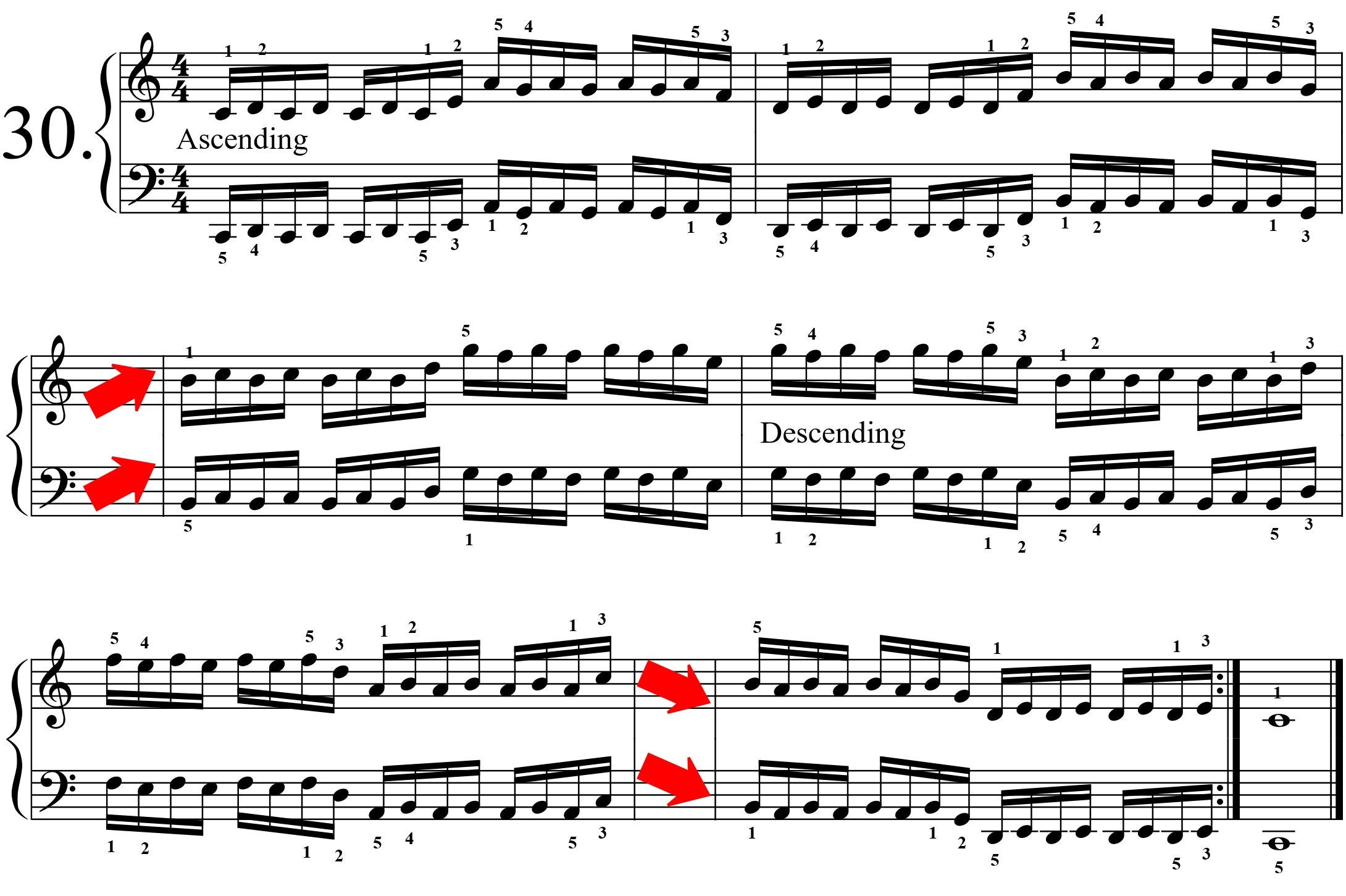 Hanon Piano / Keyboard Exercises 1 30 Condensed and - Etsy