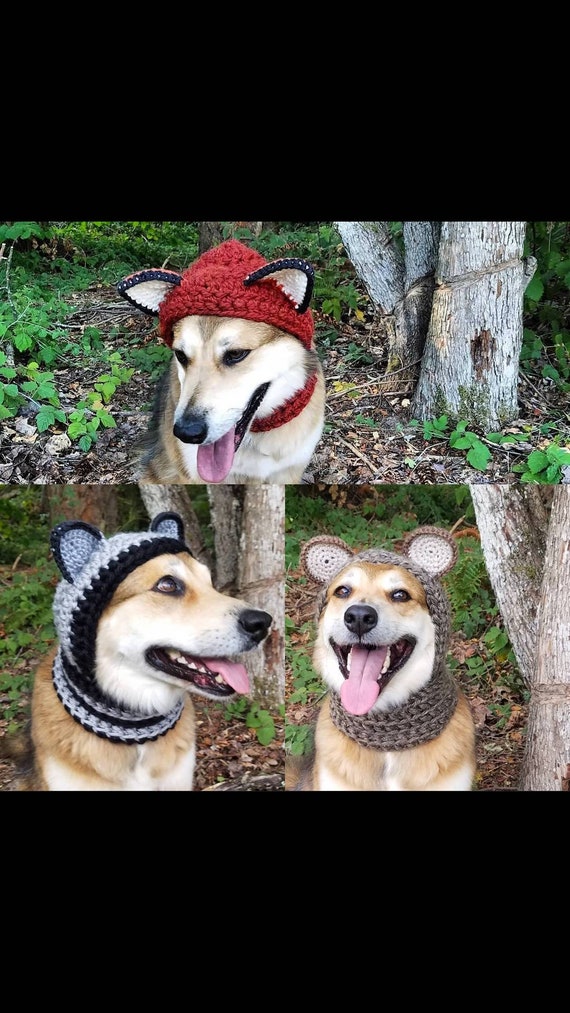 Crochet PDF Pattern Make your own Dog Costume Fox Raccoon | Etsy