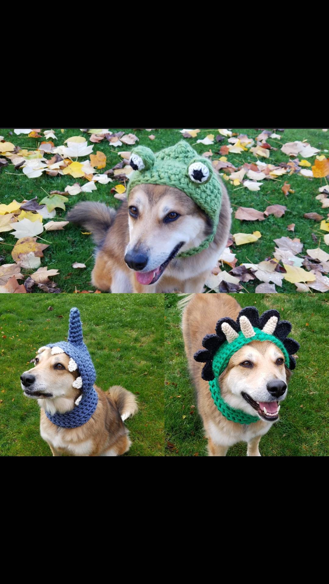Crochet PDF Pattern, Make Your Own Dog Costume - Dinosaur, Shark, and ...
