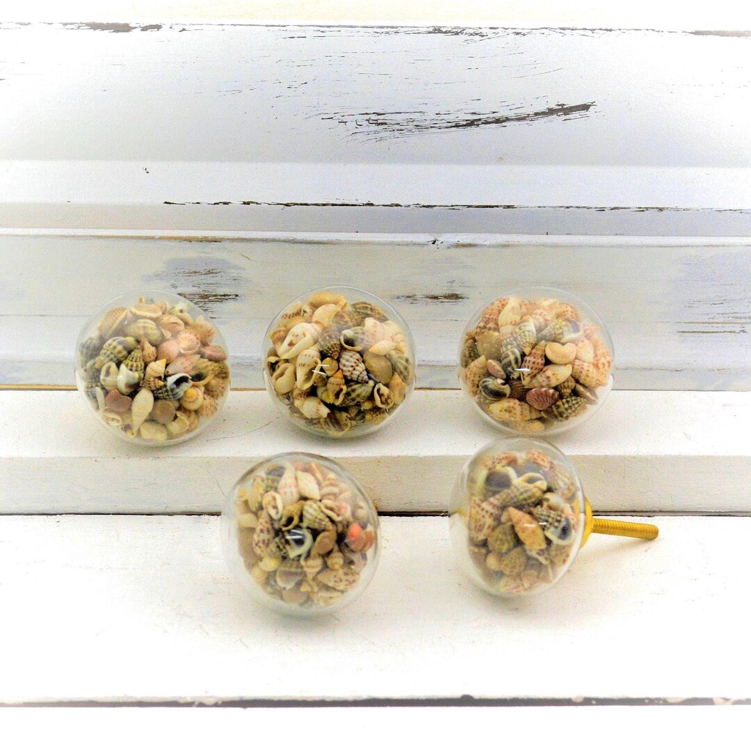 Glass Seashell Knob, Seashell Drawer Pull, Beach House, Coastal ...