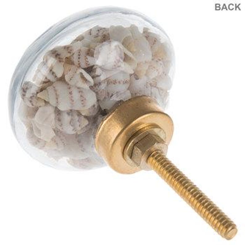 Glass Seashell Knob, Sea Shell Drawer Pull, Beach House Decor, Coastal ...