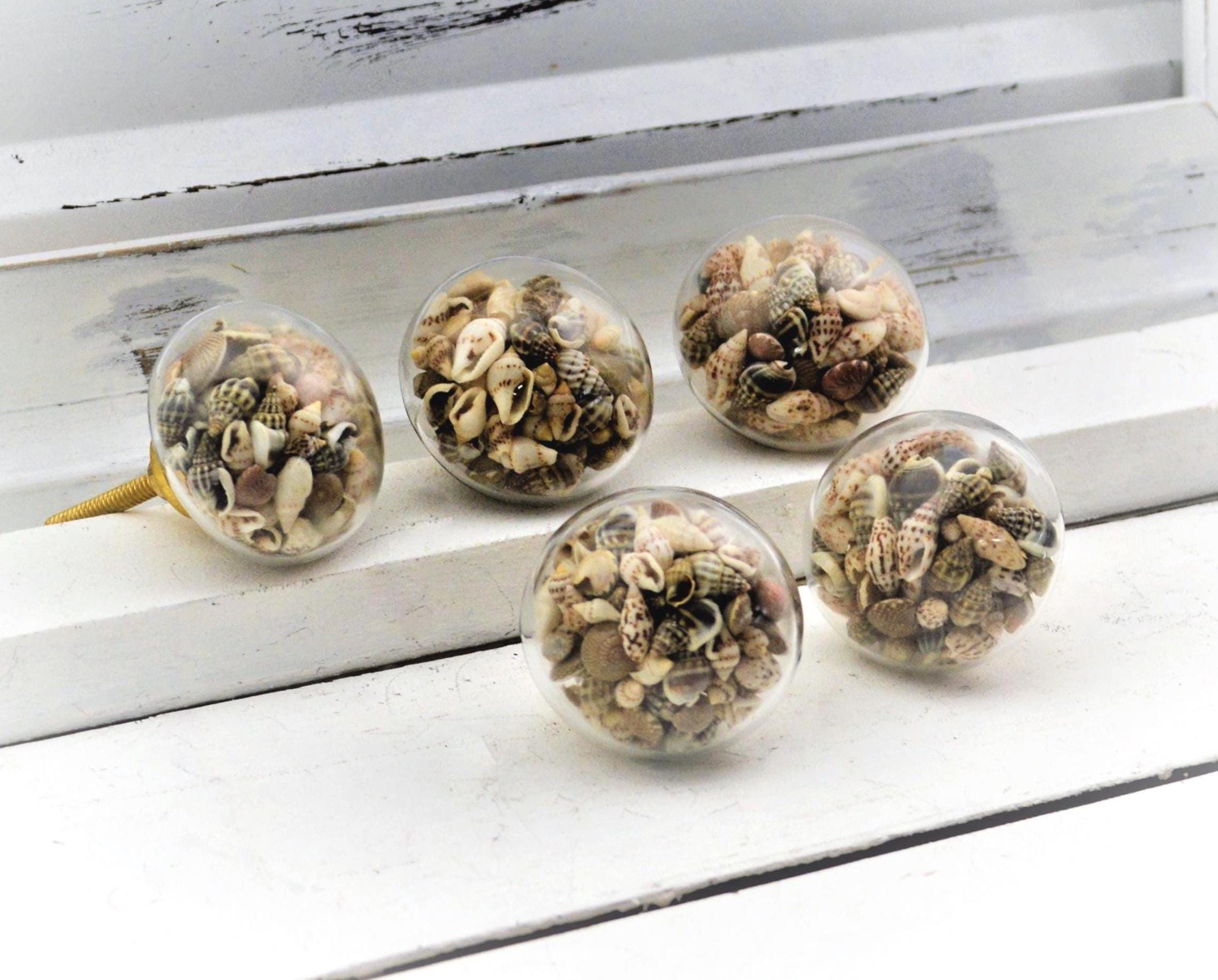 Glass Seashell Knob, Sea Shell Drawer Pull, Beach House Decor, Coastal ...