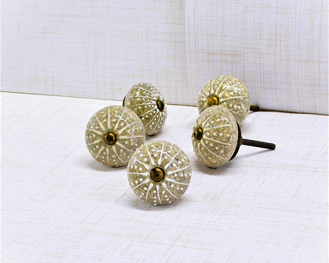 Urchin Seashell Knob, Coastal Cabinet Hardware, Beach House Decor - Etsy