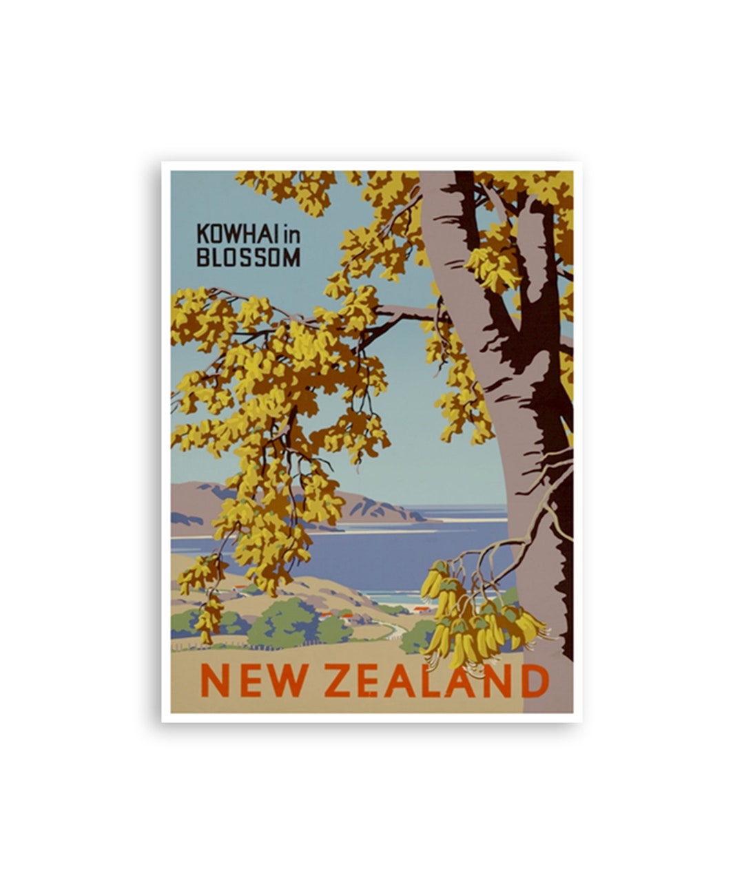 New Zealand Art NZ Travel Poster Kowhai in Blossom Print (xr88)a - Etsy