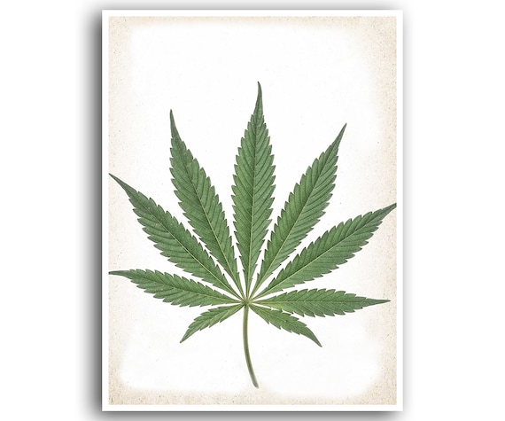 Cannabis Art Prints