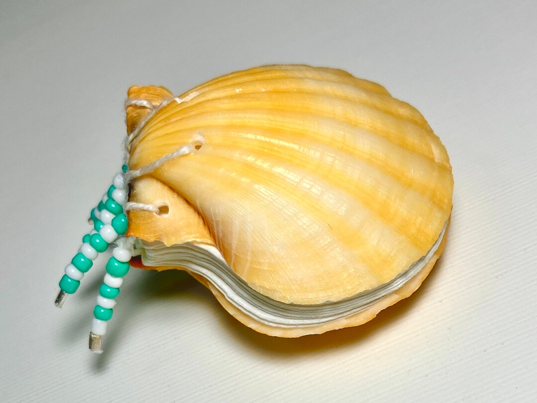 Scallop Shell Miniature Watercolor Journal Seashell Book - Etsy