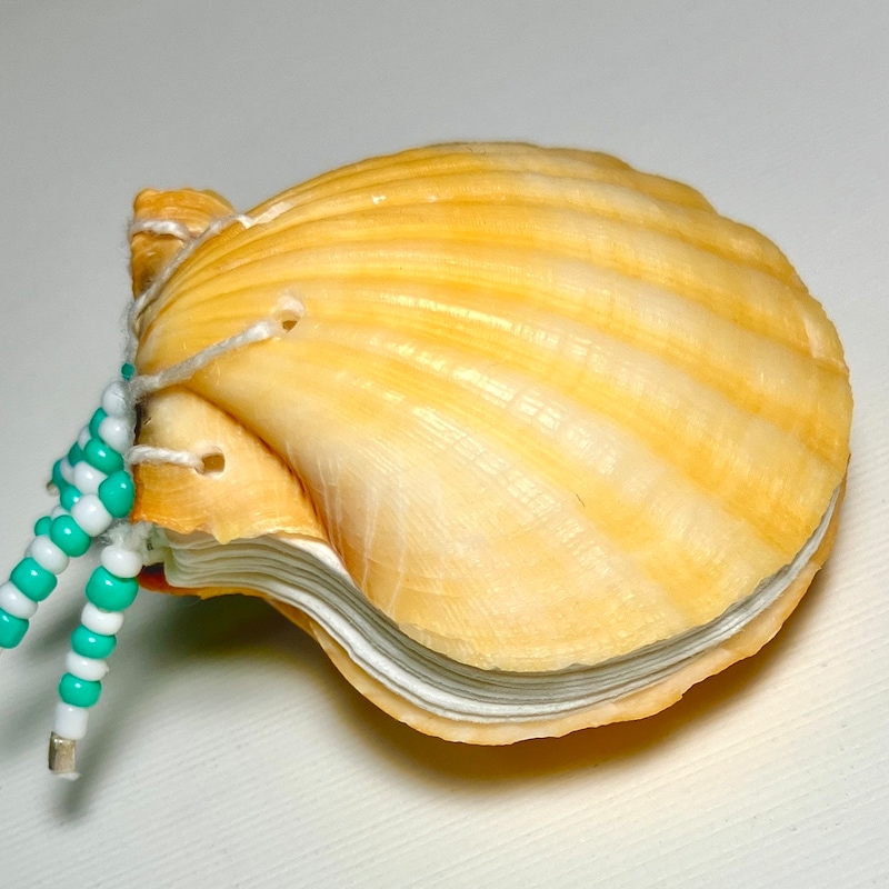 Seashell Journal - Etsy