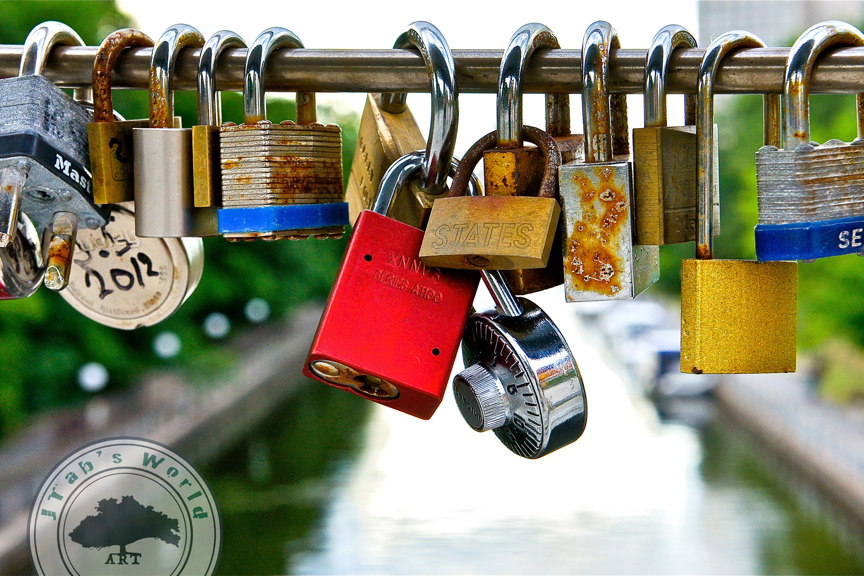 Urban Photography | Love Locks Over the Canal | Digital Download - Etsy