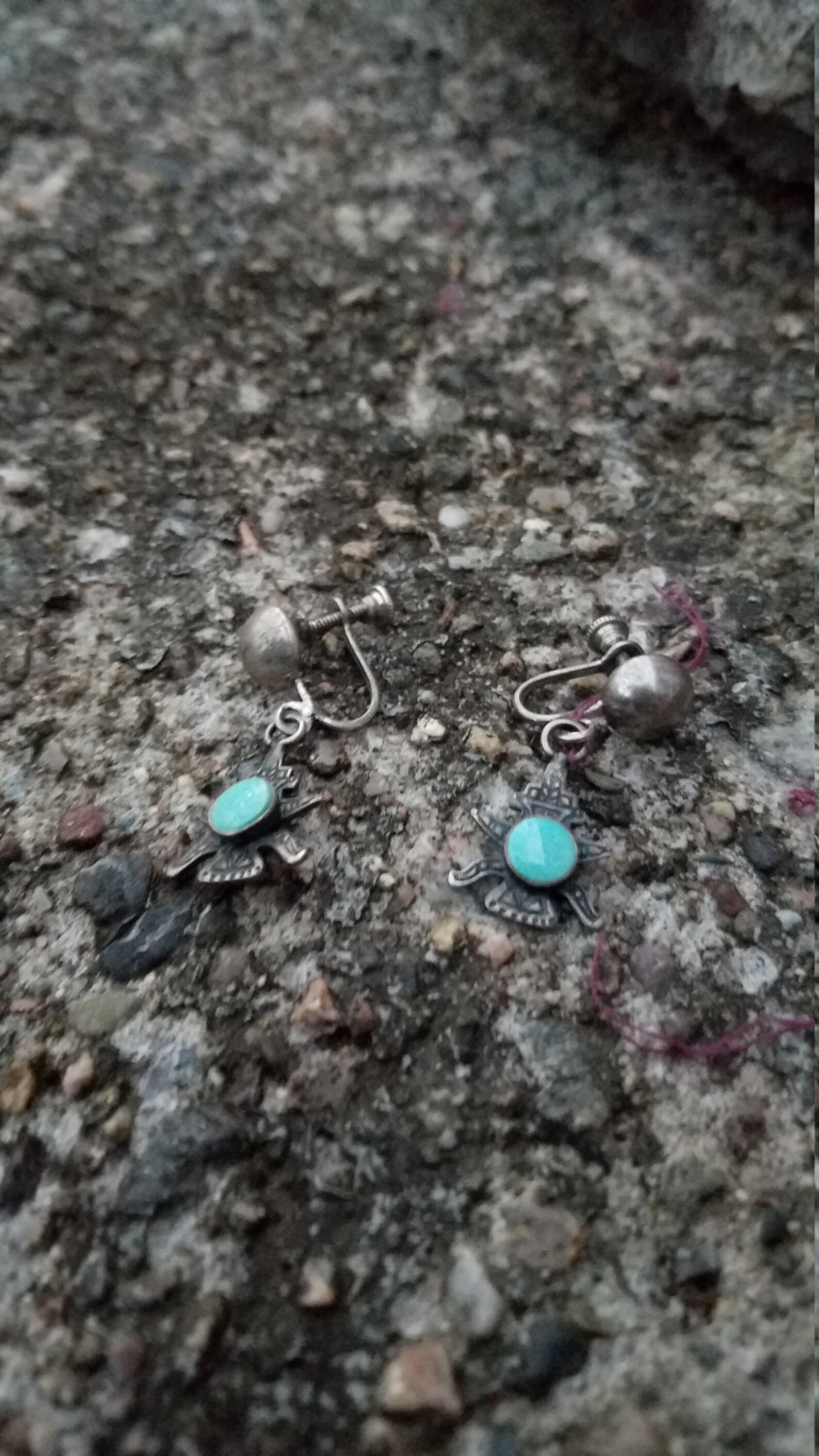 Fred Harvey Era Knifewing Turquoise Screwback Earrings - Etsy