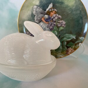 White Glass Rabbit Dish Bunny on Nest Box White Opalescent - Etsy