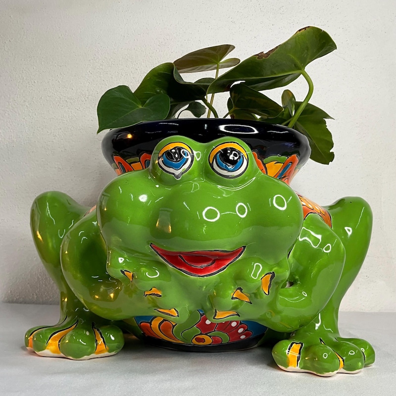 Frog Planter - Etsy