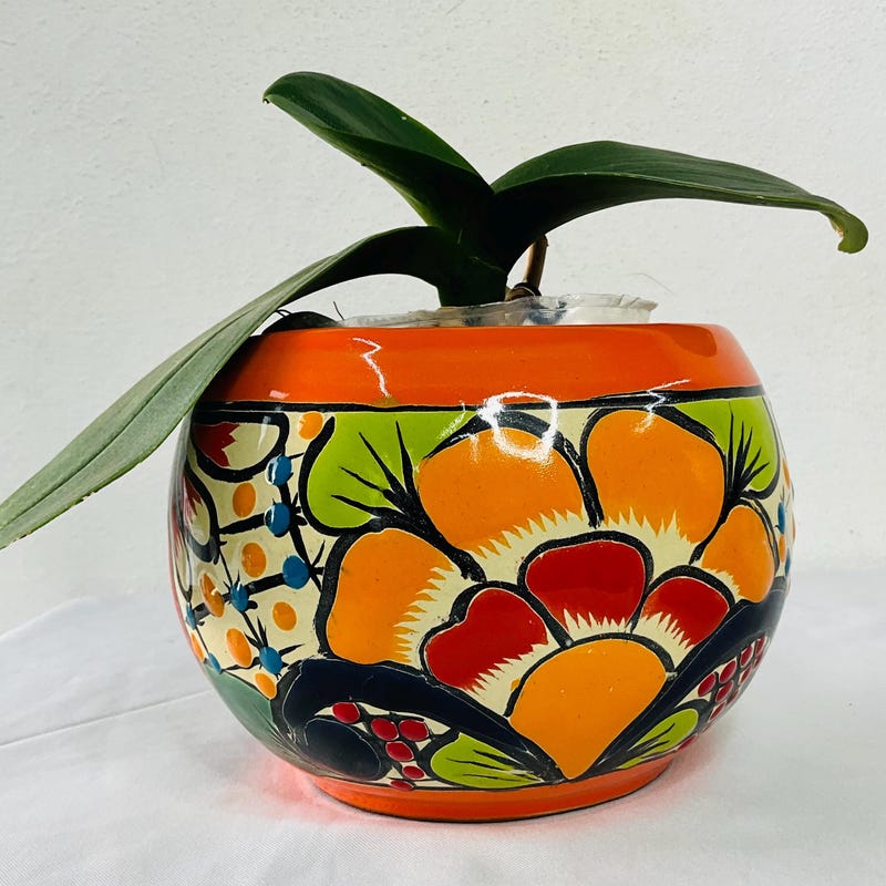 Colorful Flower Pots - Etsy