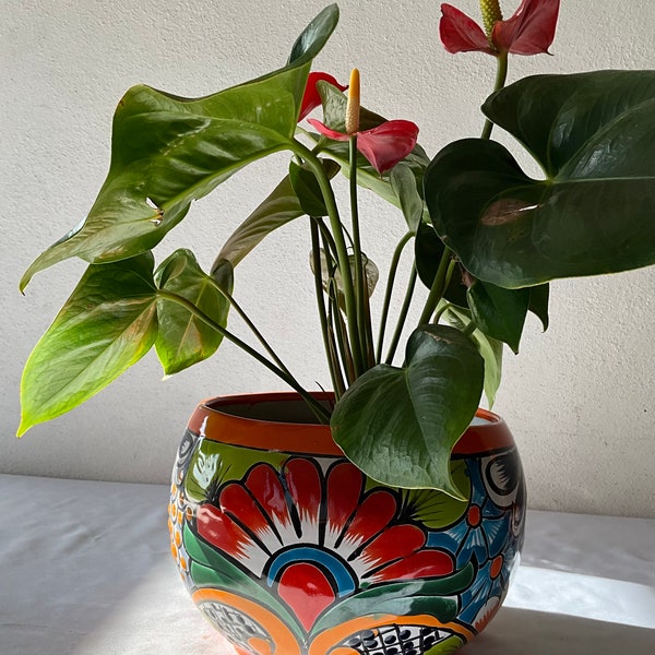 Colorful Flower Pots - Etsy