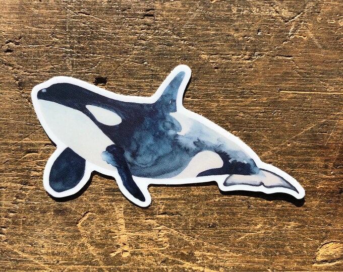 Orca Killer Whale Watercolor Sticker Decal - Etsy