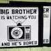 Screen Printed Patch - Big Brother is Watching You and He's Bored - Etsy