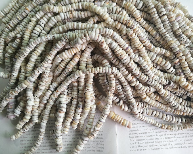 Puka Shell, 8mm Natural Tiger Puka Shell Beads, 16" Strand Long. - Etsy