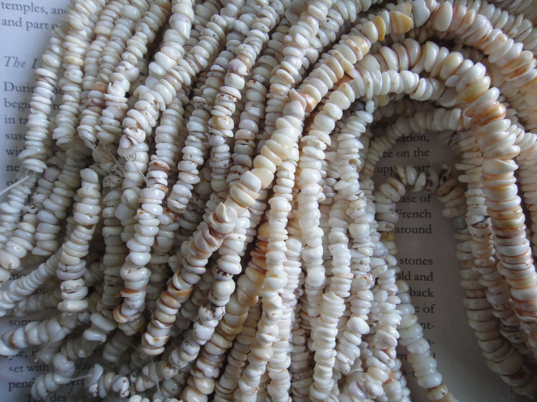 Puka Shell, 5mm Natural Puka Shell Beads, 16" Strand Long. - Etsy