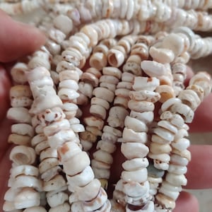 Puka Shell, Vary Size Nature Tiger Puka Shell Beads, 15.5 Inch - Etsy