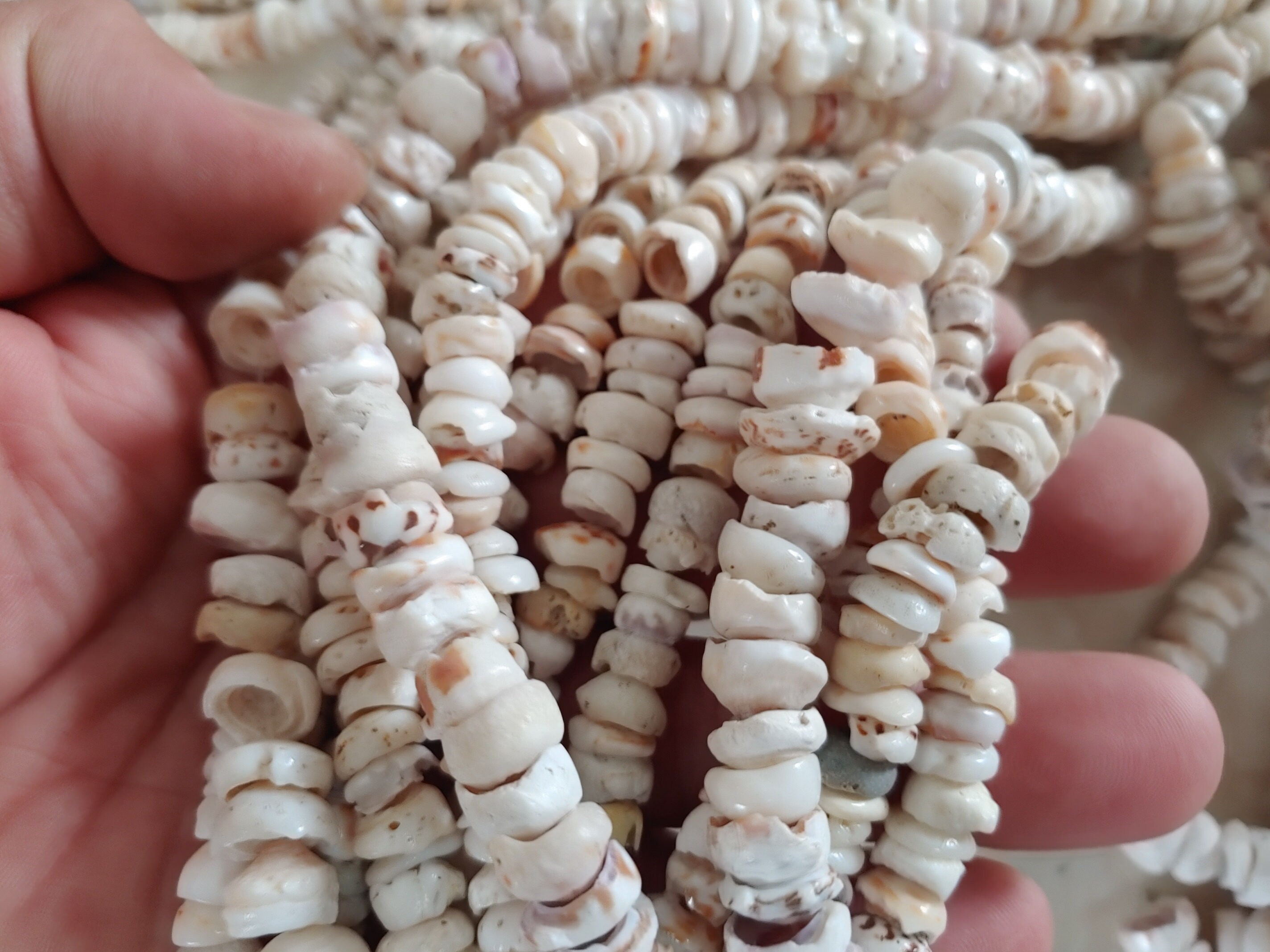 Puka Shell, Vary Size Nature Tiger Puka Shell Beads, 15.5 Inch - Etsy