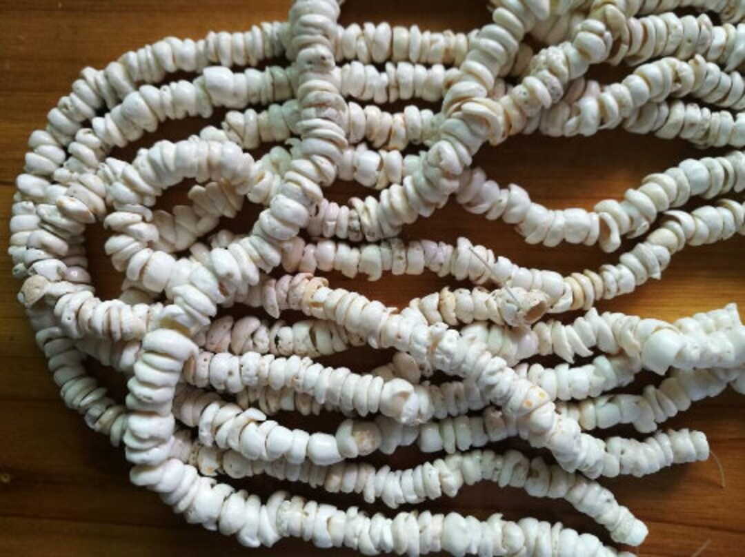 Nature Puka Beads, 8mm Natural White Puka Shell Beads, 15.5 Inch. - Etsy