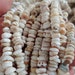 Puka Shell, Vary Size Nature Tiger Puka Shell Beads, 15.5 Inch - Etsy