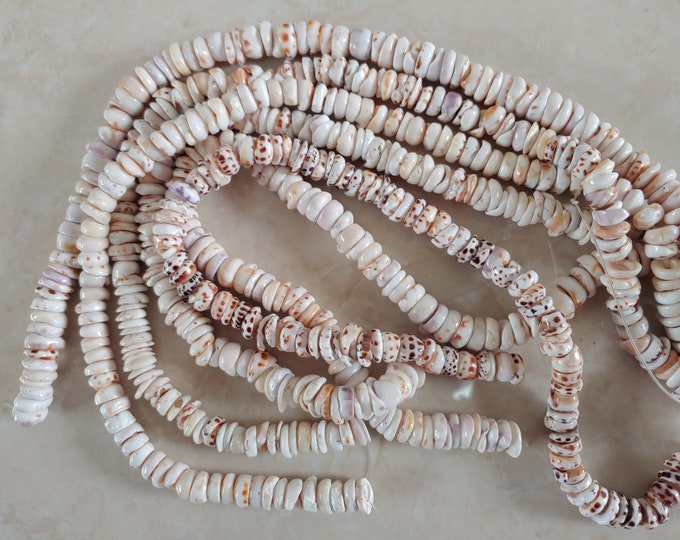 Puka Shell, 10-12mm Natural Puka Shell Beads, 15.5 Inch Long - Etsy