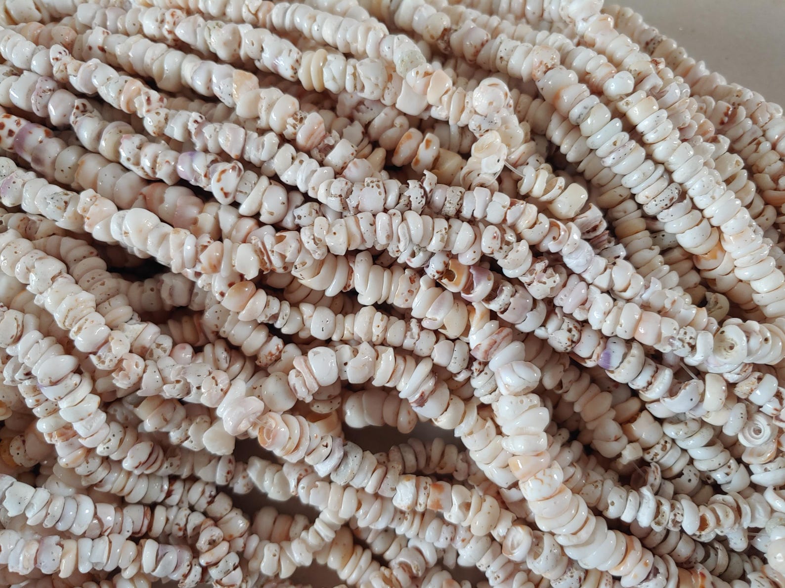 Puka Shell, 7-8mm Natural Tiger Puka Shell Beads, 16" Strand Long. - Etsy