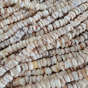 Puka Shell, Vary Size Nature Tiger Puka Shell Beads, 15.5 Inch - Etsy