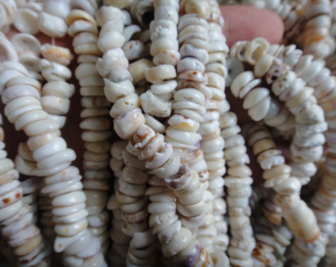 Puka Shell, 10mm Natural Puka Shell Beads, 16" Strand Long. - Etsy