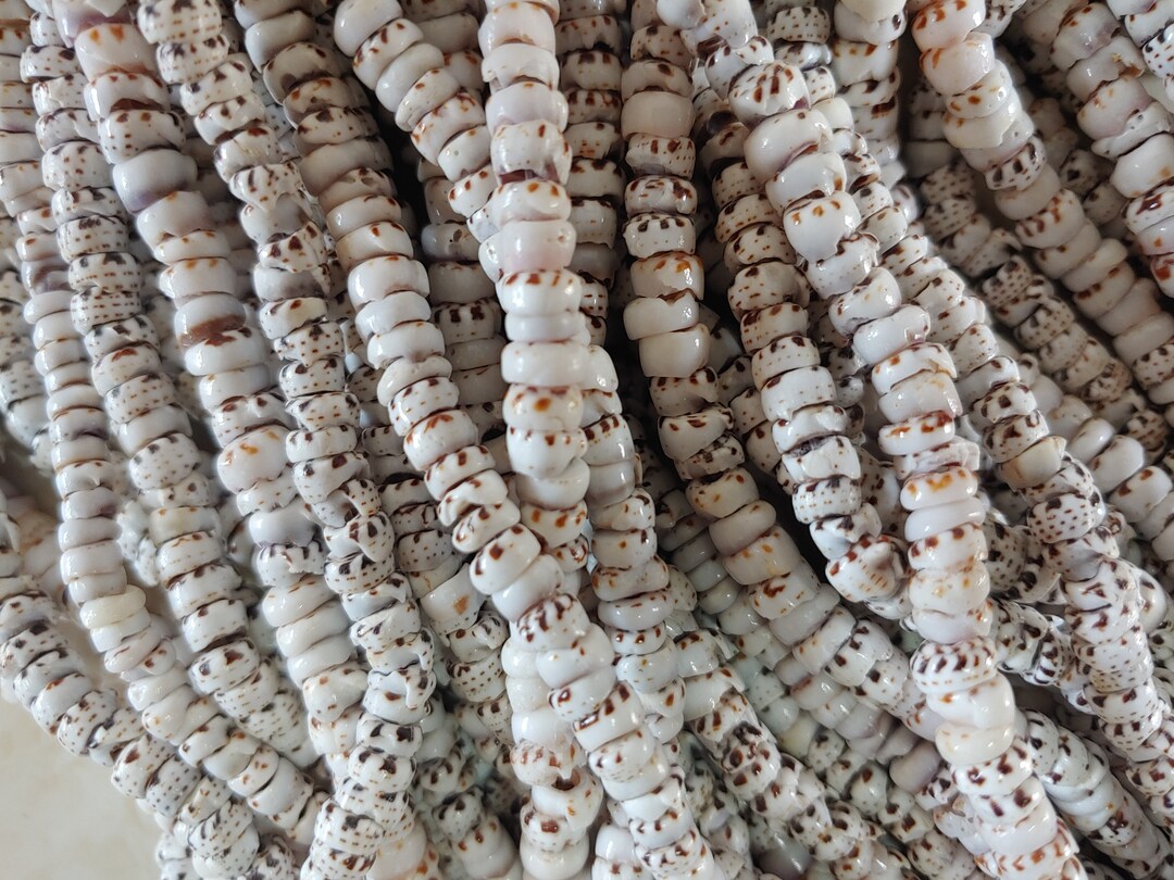 Tiger Puka Shell, 7mm Nature Tiger Puka Shell Beads, 15.5 Inch Long - Etsy