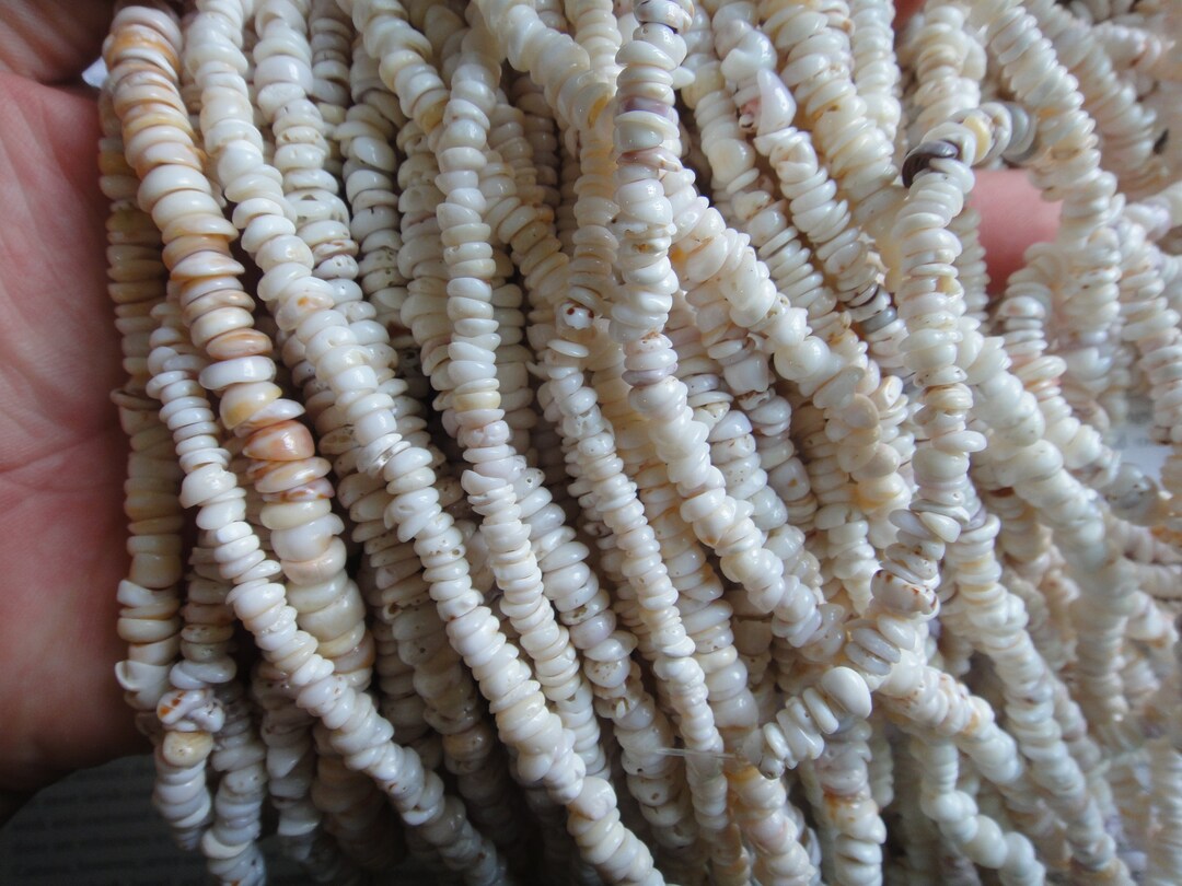 Puka Shell, 6mm Natural Puka Shell Beads, 16" Strand Long. - Etsy