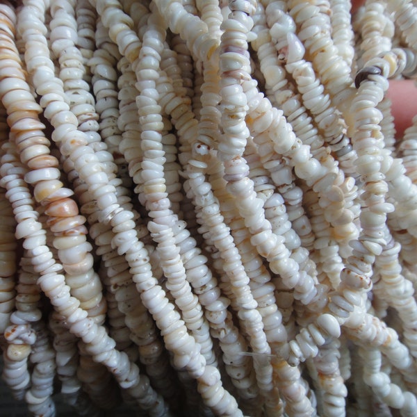 Puka Shells - Etsy