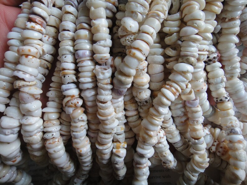 Puka shell 10mm natural puka shell beads 16 strand | Etsy