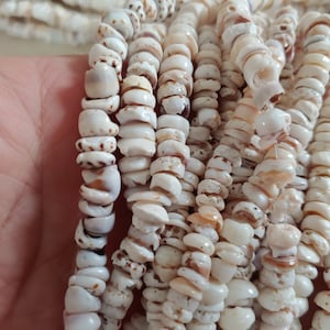 Puka Shell, Vary Size Nature Tiger Puka Shell Beads, 15.5 Inch - Etsy